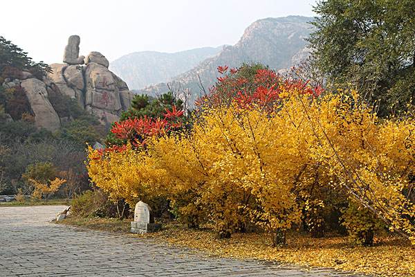Longevity Mountain Gen Yue:A Famous Imperial Garden – China Travel